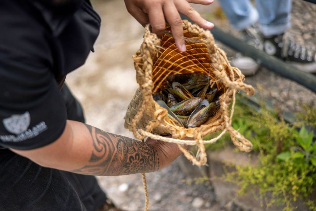 How New Zealand Chefs Are Redefining Global Fusion Cuisine