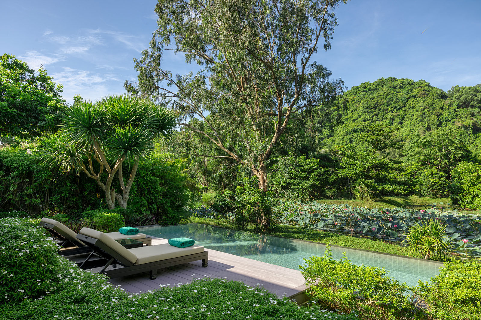 Discover the Indulgent All-Pool-Villa Concept of Banyan Tree Lang Co's ...