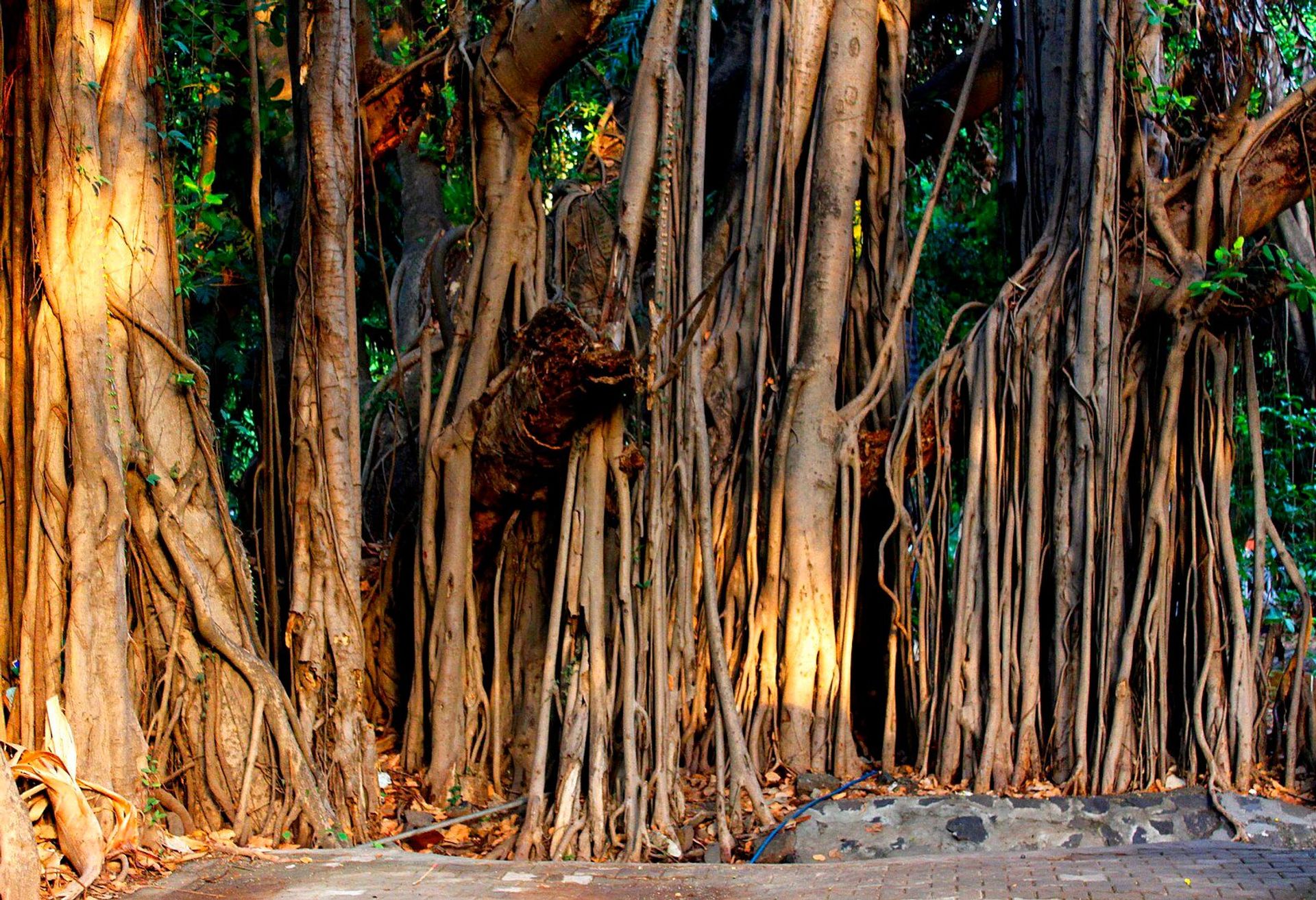 Places To Visit In Pune: A Local's Guide To Maharashtra's Second City