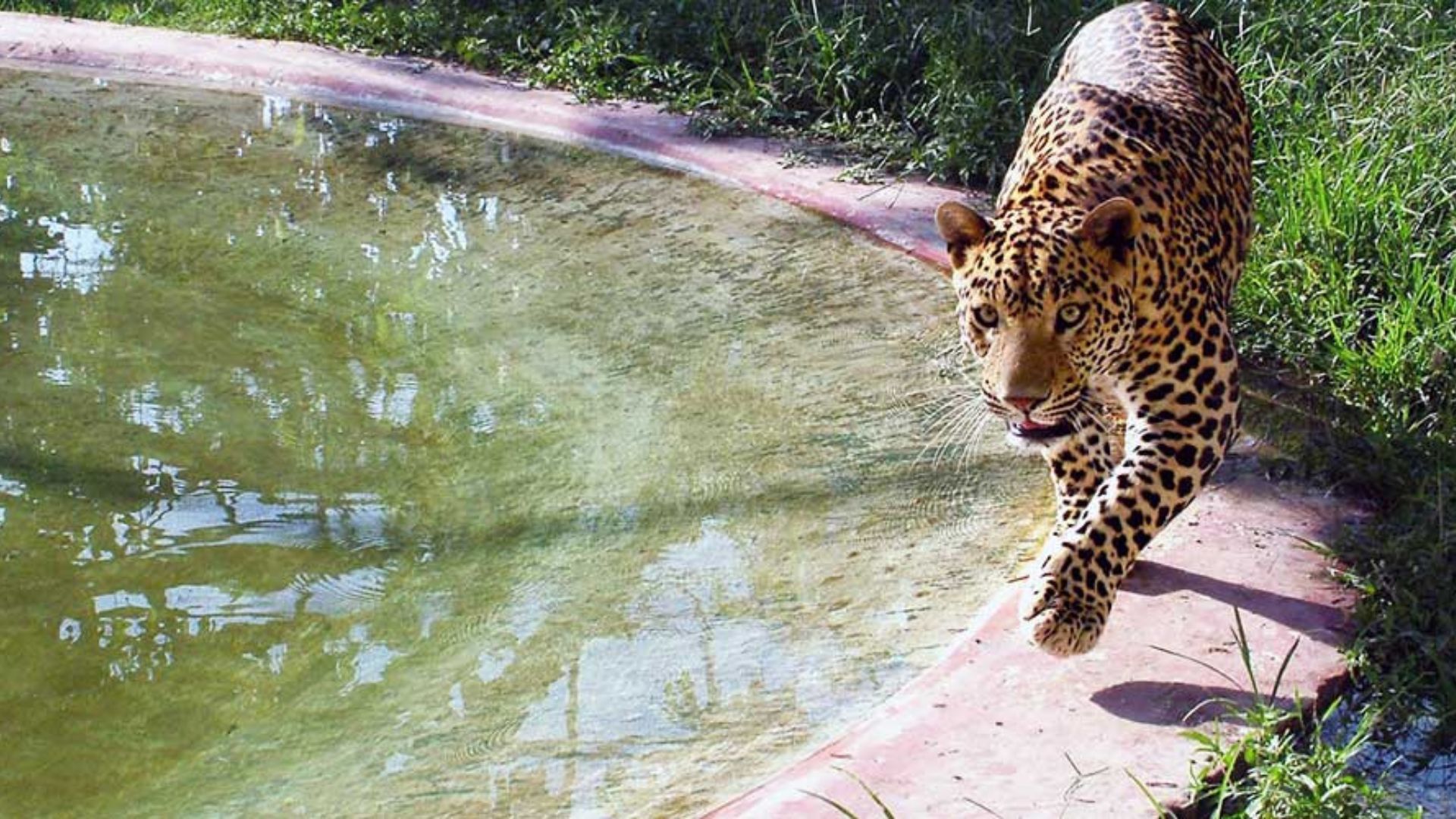 Places To Visit In Surat: Exploring The Top Spots In Gujarat's Diamond City
