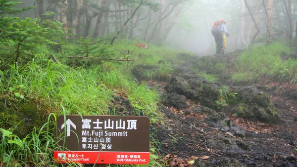 Mount Fuji Trip: A Complete Guide To Exploring Japan's Most Iconic Peak