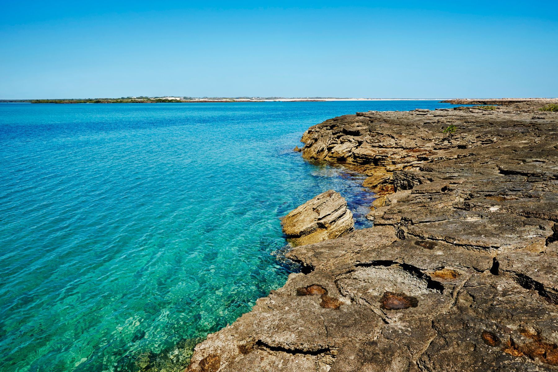 Discover Dinosaurs and Dreamtime Stories on Australia's Northwest Coast