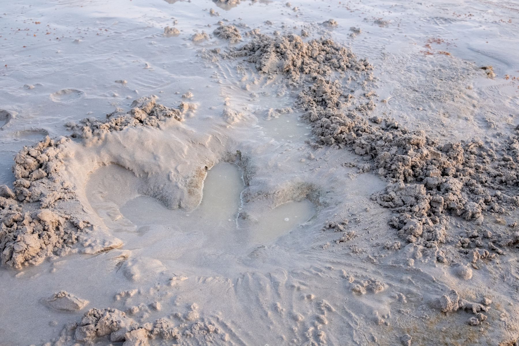 Discover Dinosaurs and Dreamtime Stories on Australia's Northwest Coast