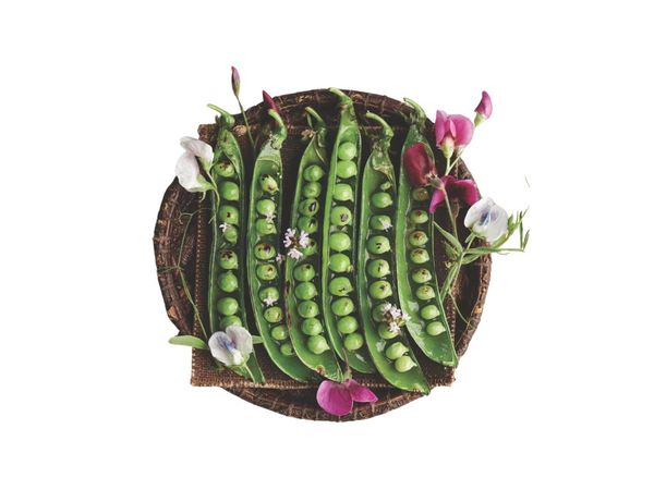 At Noma, Eating Your Vegetables is a Gastronomic Revelation