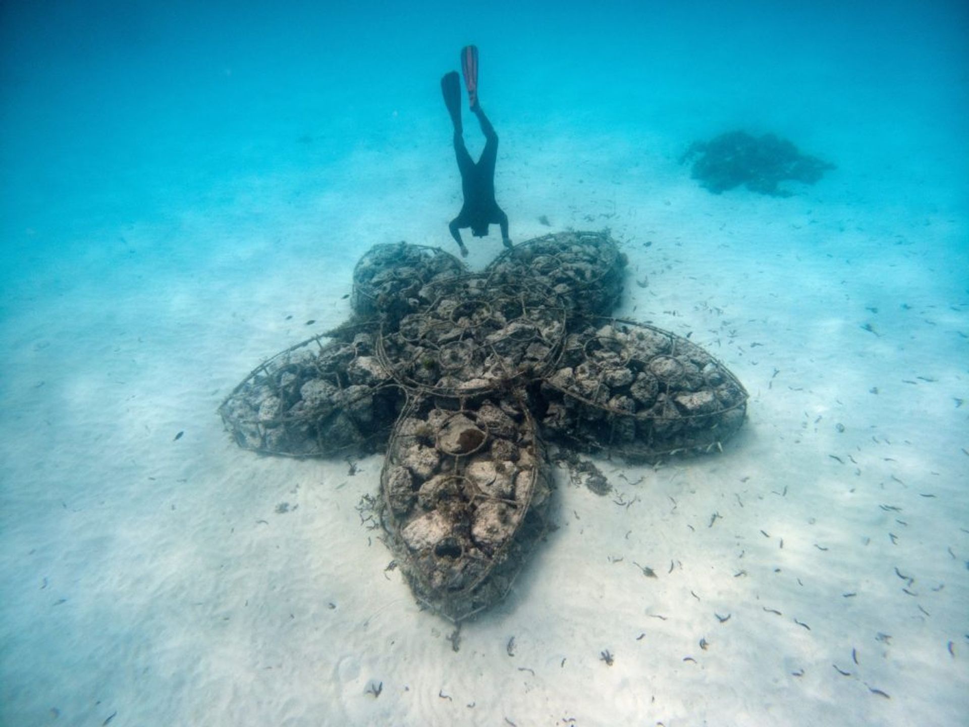 Live Out Your Marine Biologist Dreams at This Zanzibar Resort