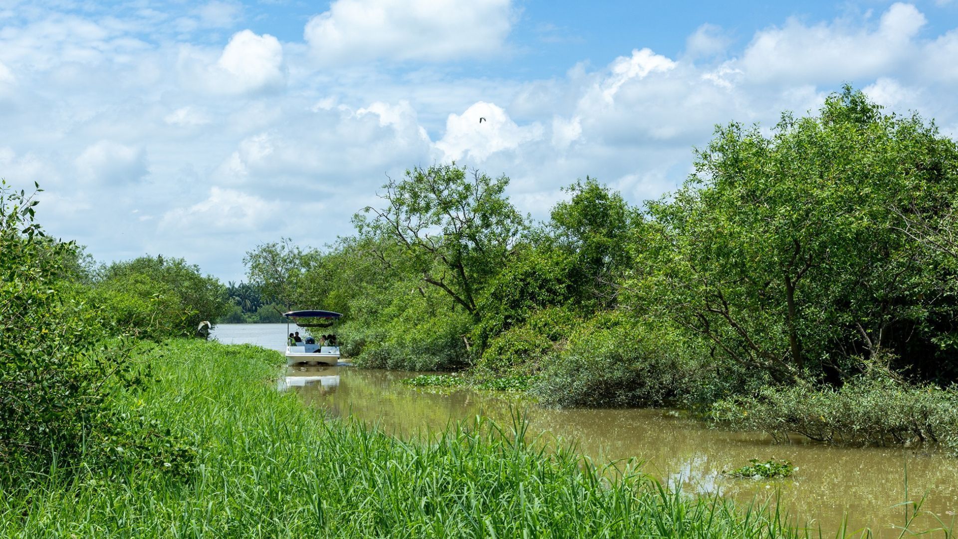 Teluk Intan: Must-Visit Attractions In Perak's Calm Riverside Town