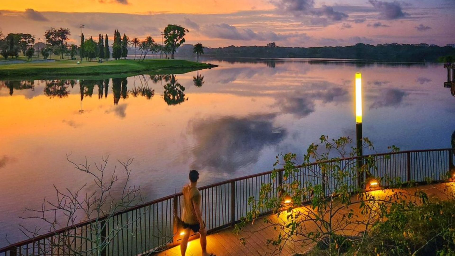 Yishun: A Local’s Guide To This Vibrant Neighbourhood In Singapore