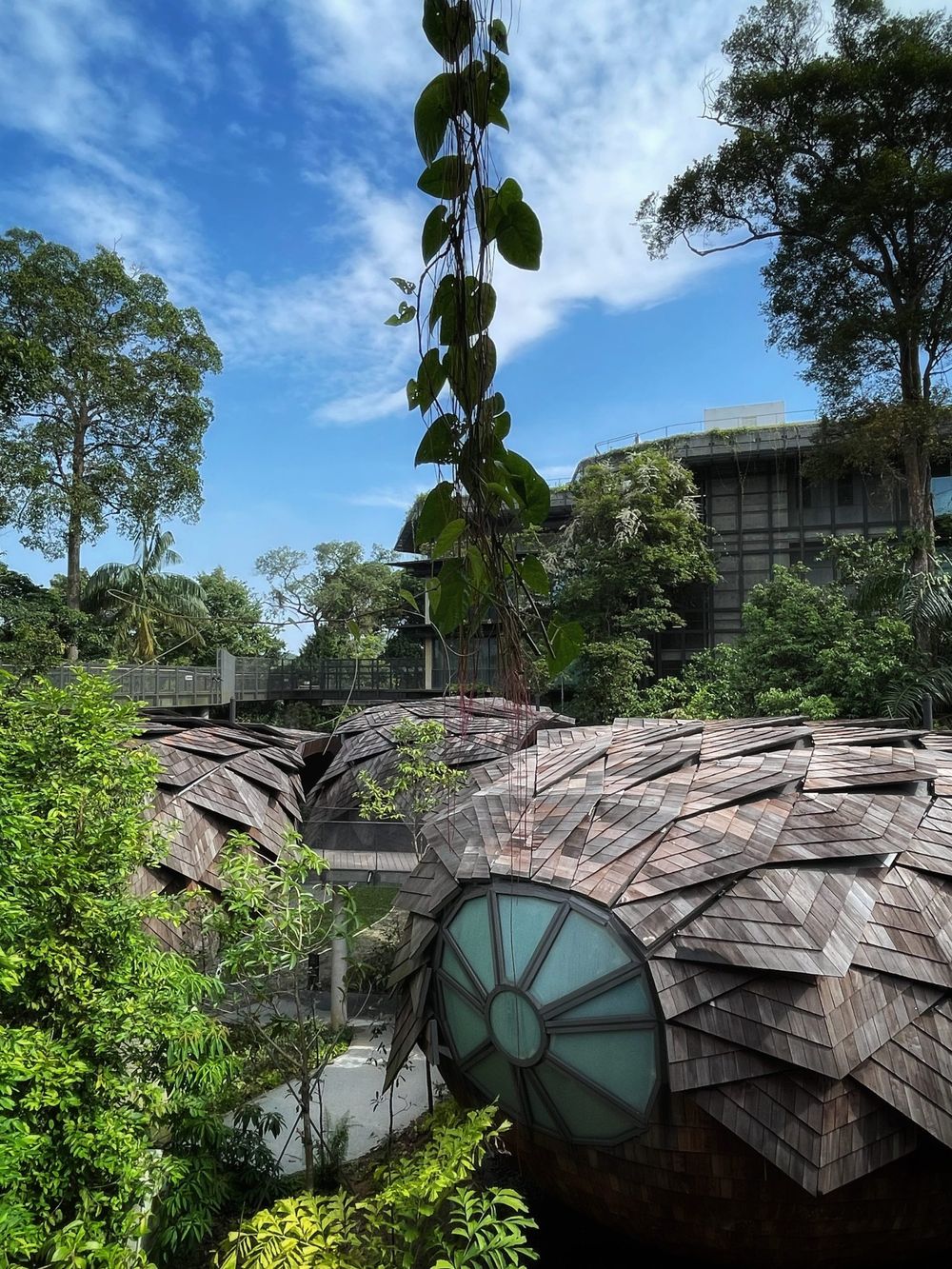 Review: Mandai Rainforest Resort by Banyan Tree, Singapore