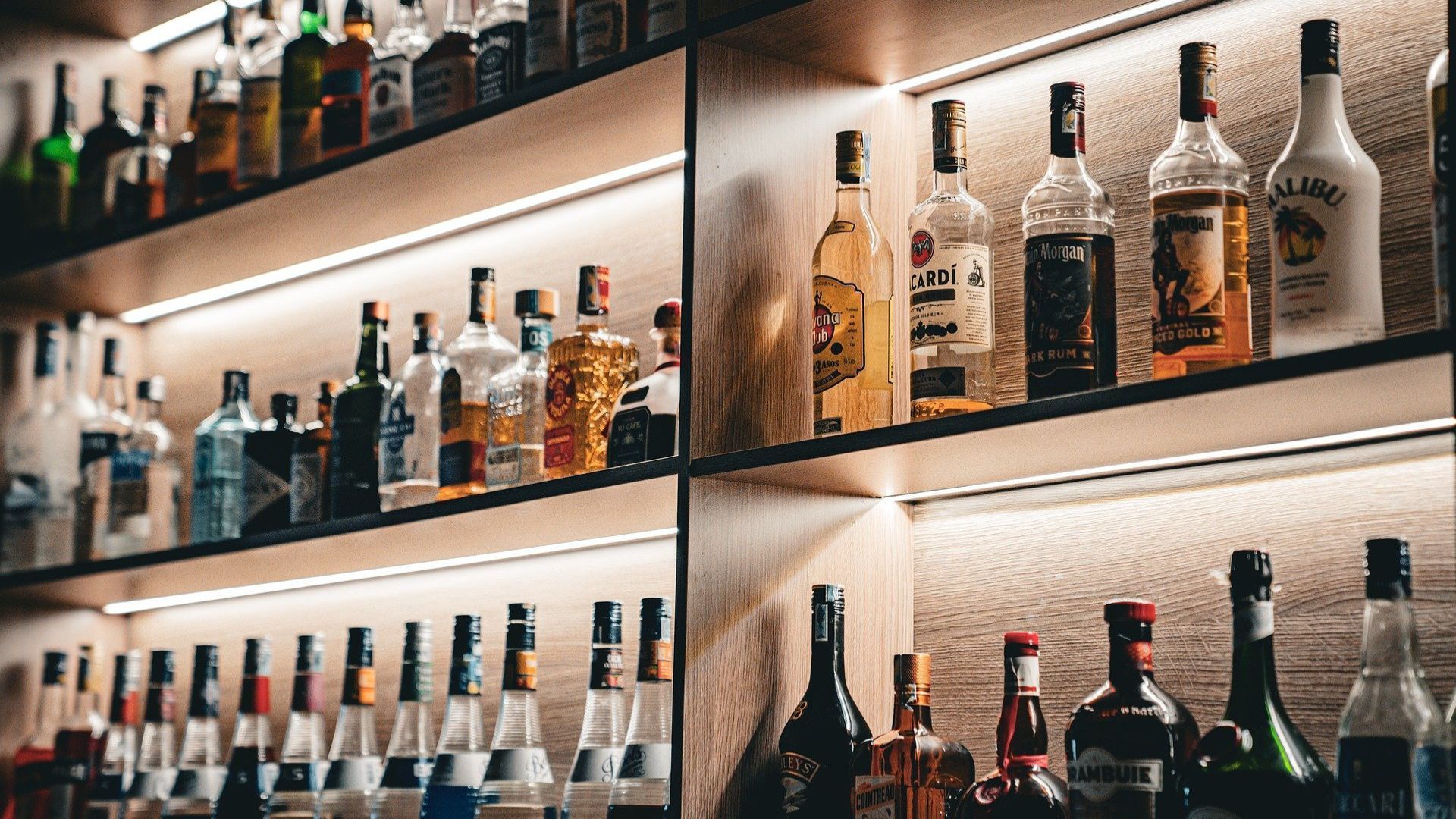 Dubai Nightlife Hotspots: Must-Visit Bars And Clubs For Party Lovers