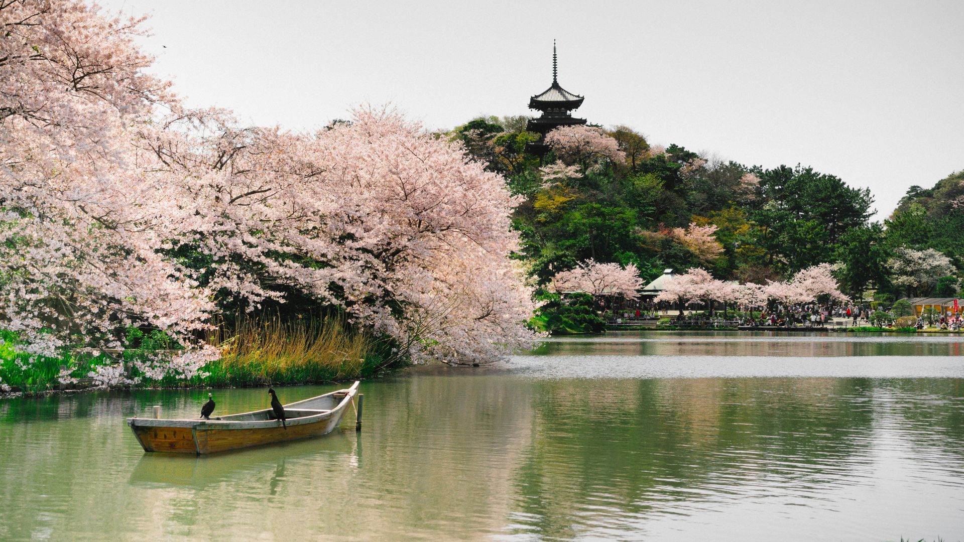 Day Trips From Tokyo: The Best Retreats To Unwind And Explore Around