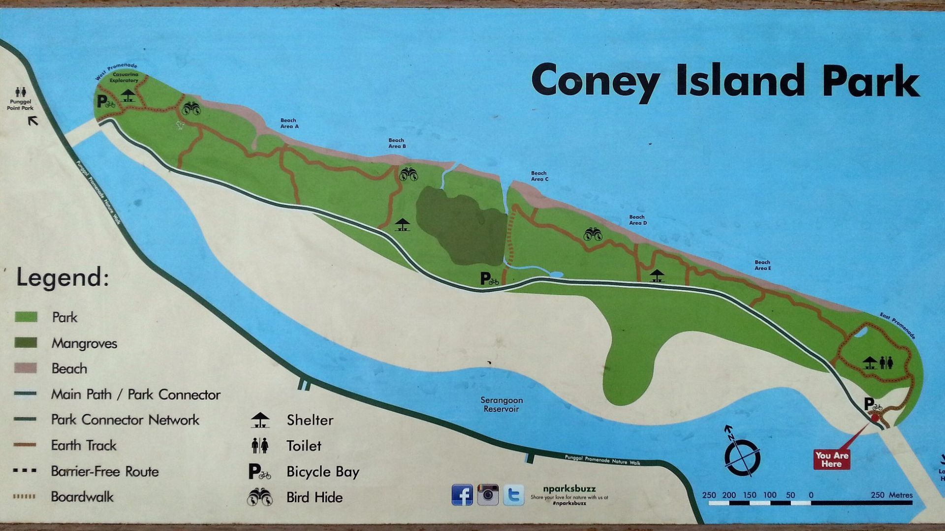 Coney Island For First-Time Visitors: A Serene Nature Escape In Singapore