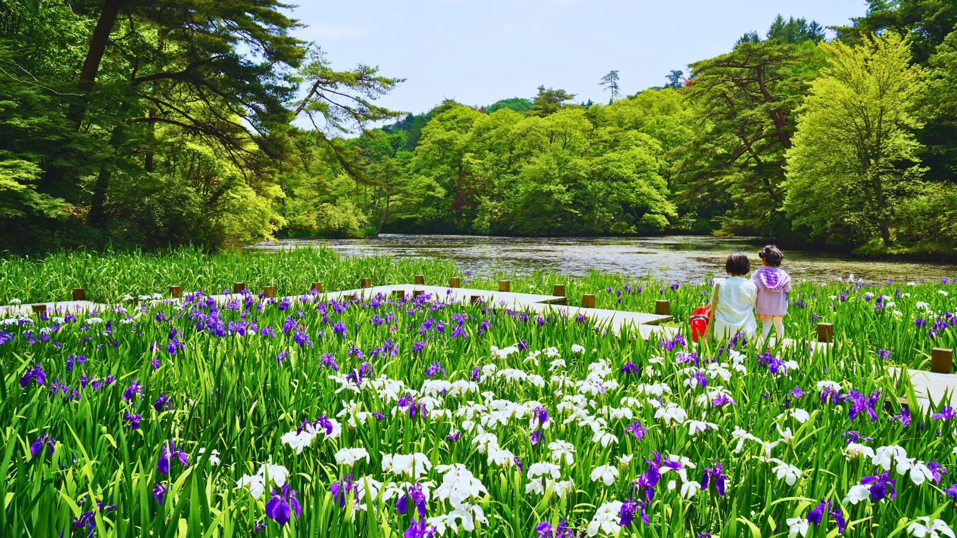 Places To Visit In Kobe: Explore The Best Of This Japanese Coastal Gem