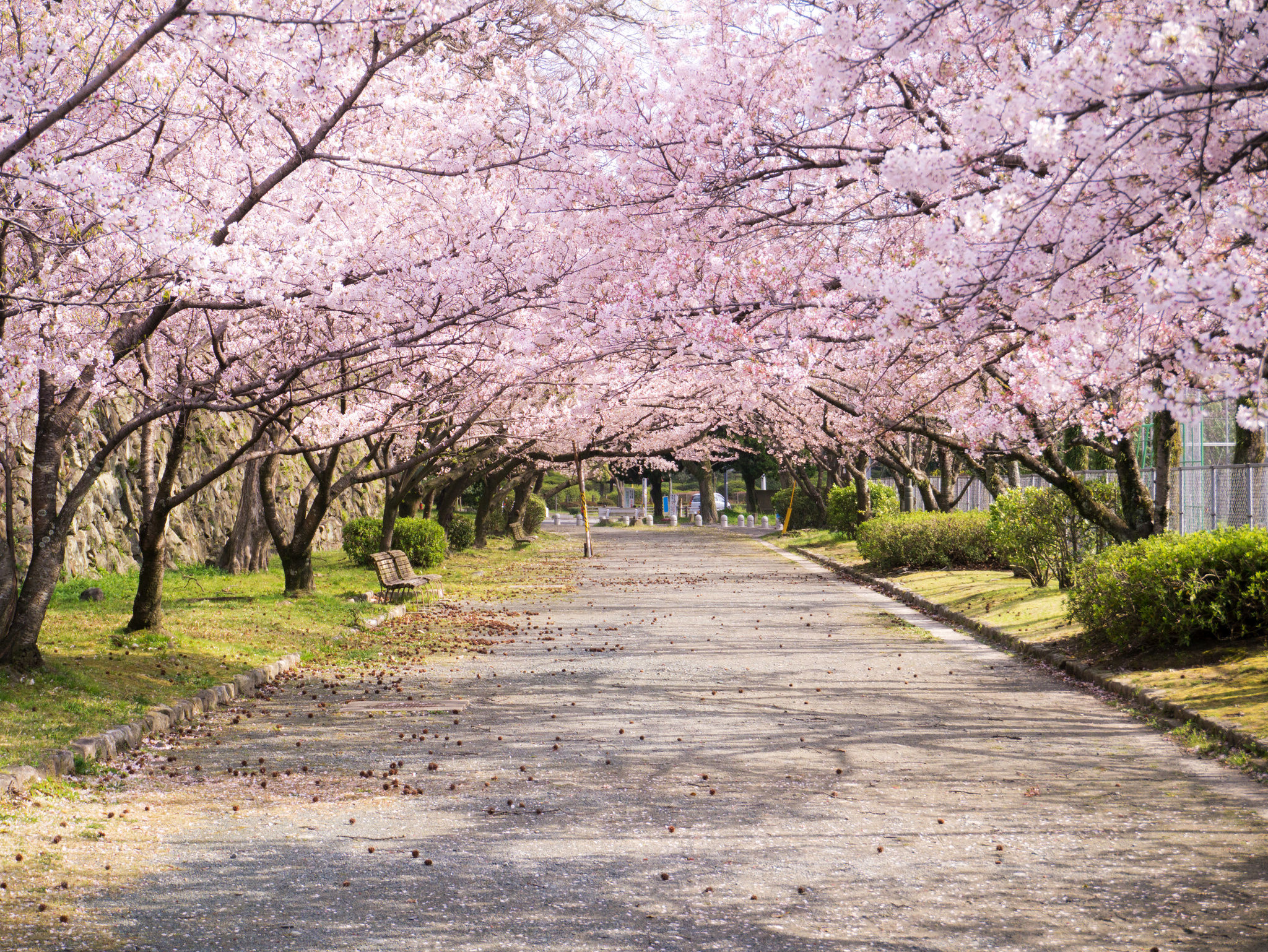 Places To Visit In Fukuoka To Experience Real Japan