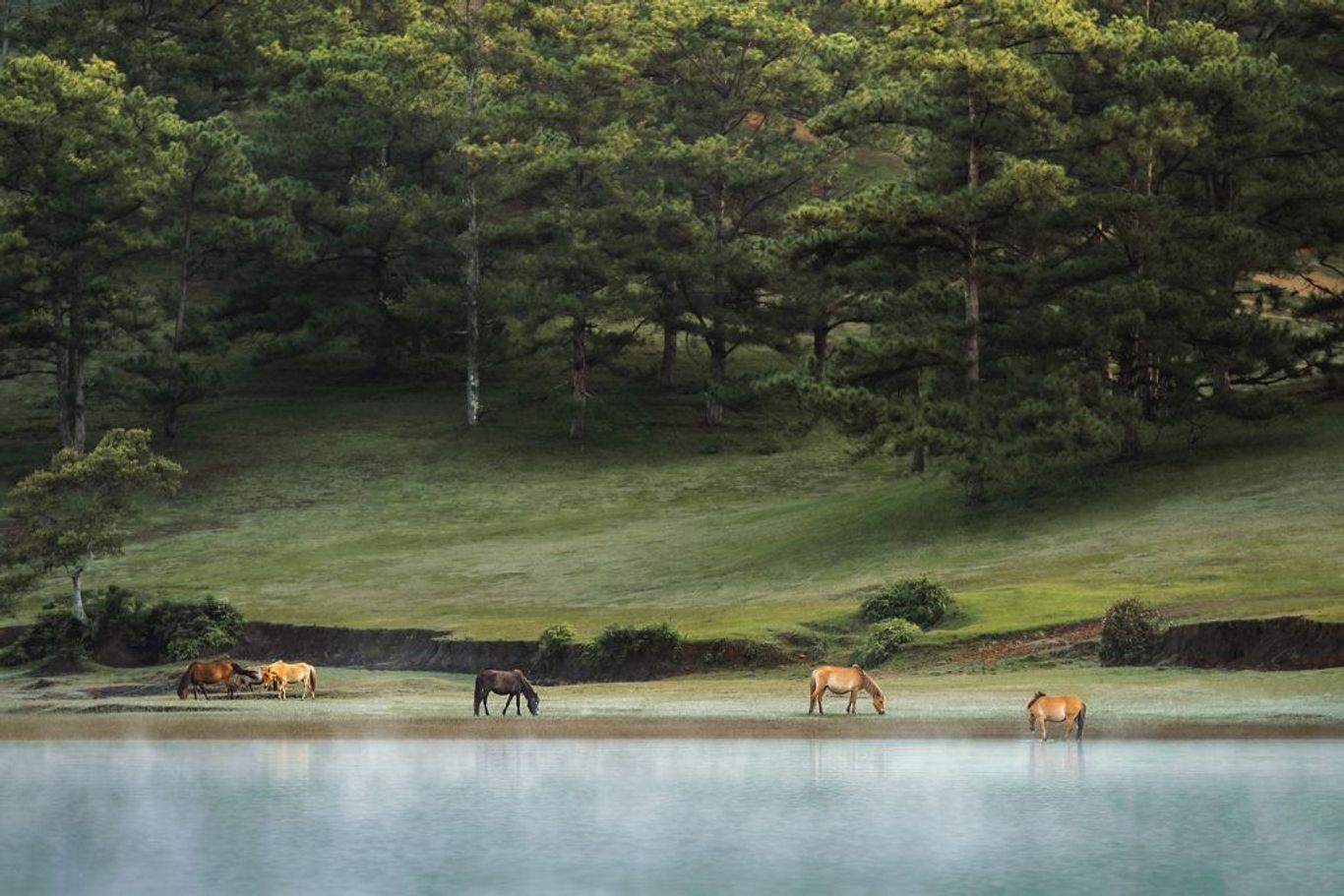 Da Lat – Viet Nam, The World’s Newest Wellness Destination, a Poem ...