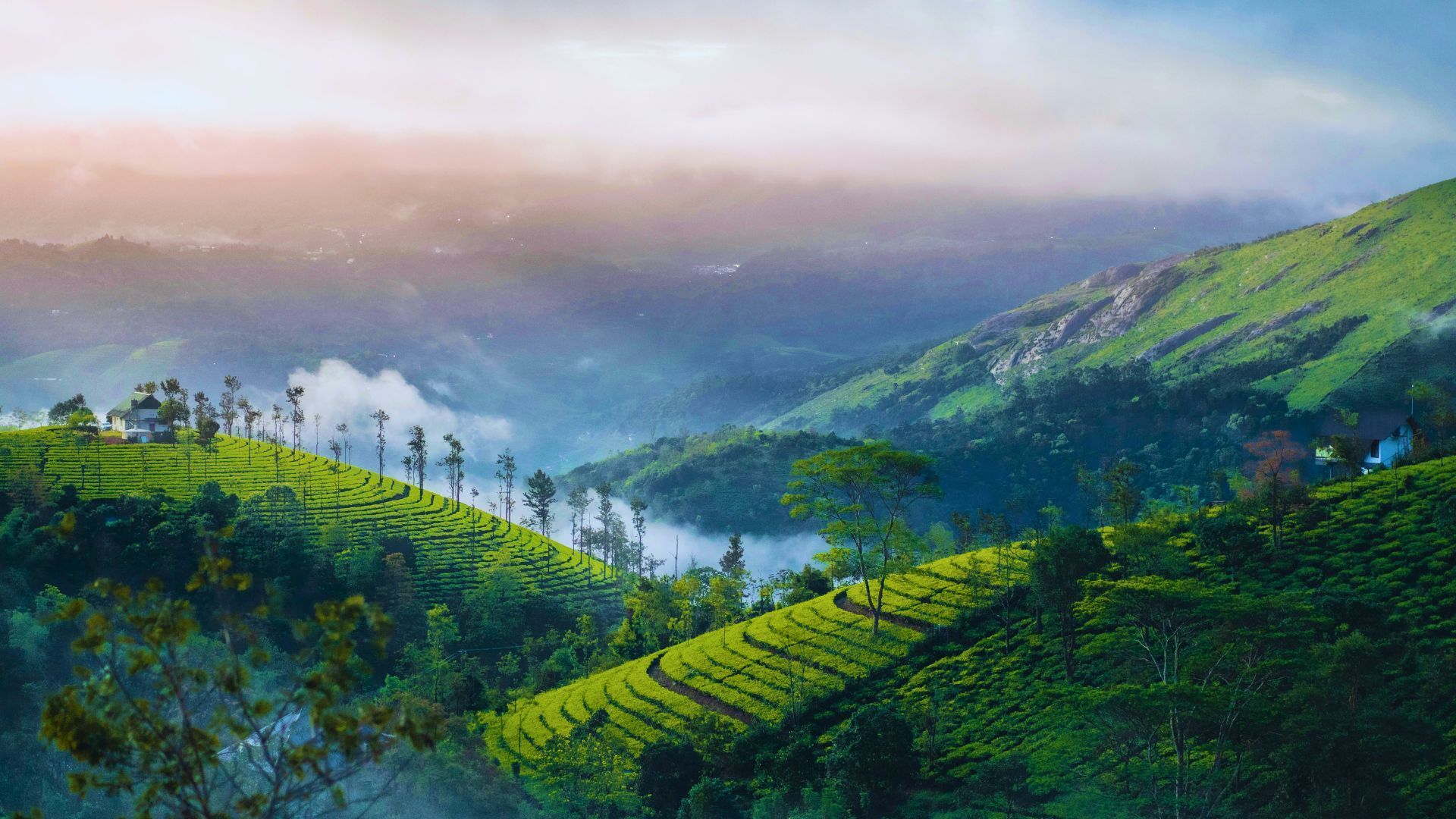 Best Time To Visit Munnar For A Quiet Escape Amidst Stunning Views