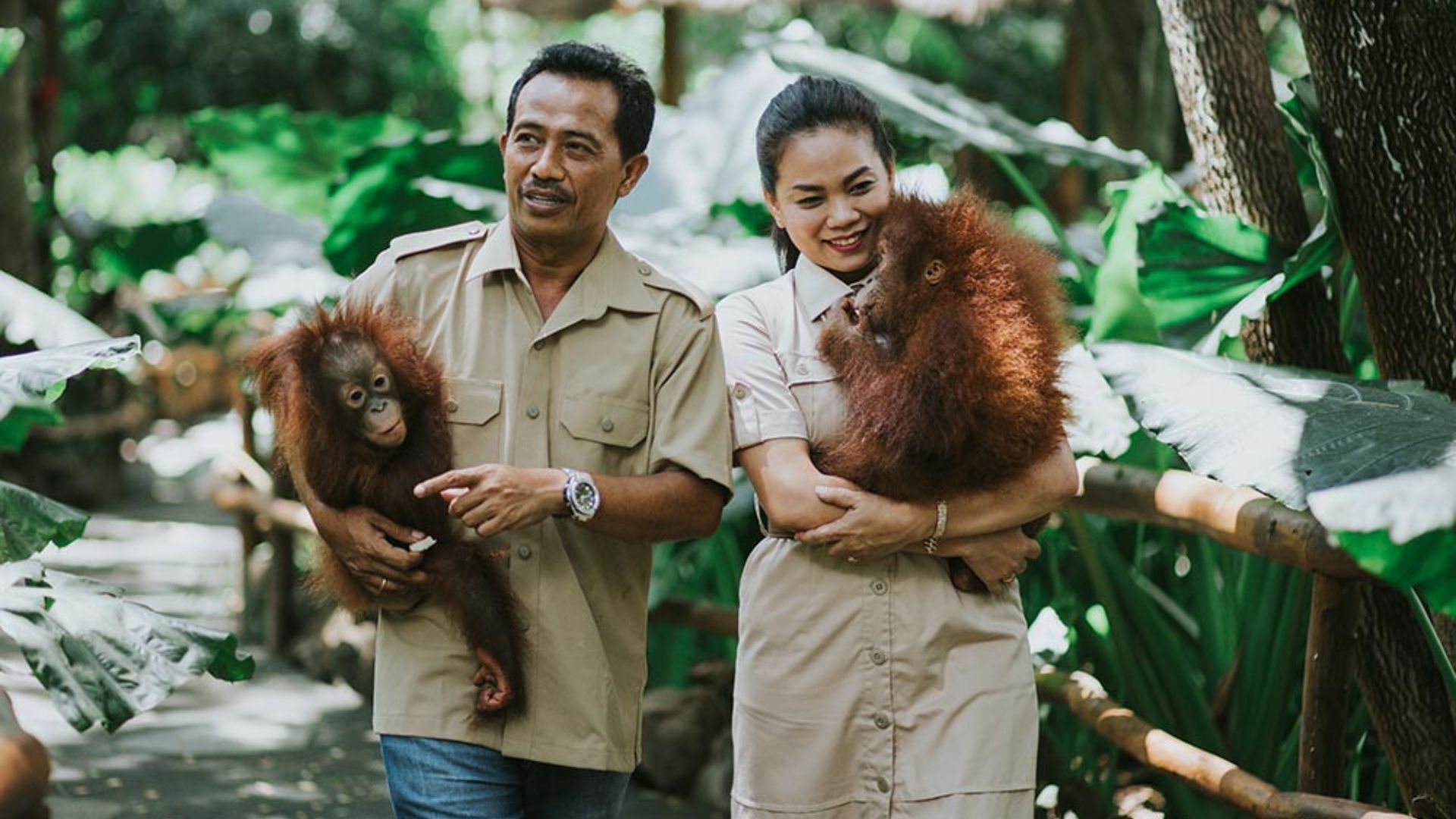 Lombok: The Only Guide You'll Need To Explore This Indonesian Paradise