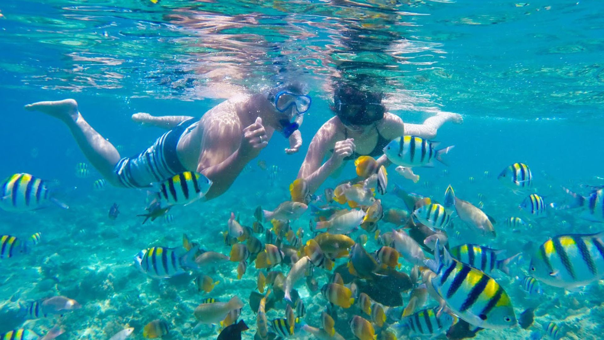 Lombok: The Only Guide You'll Need To Explore This Indonesian Paradise