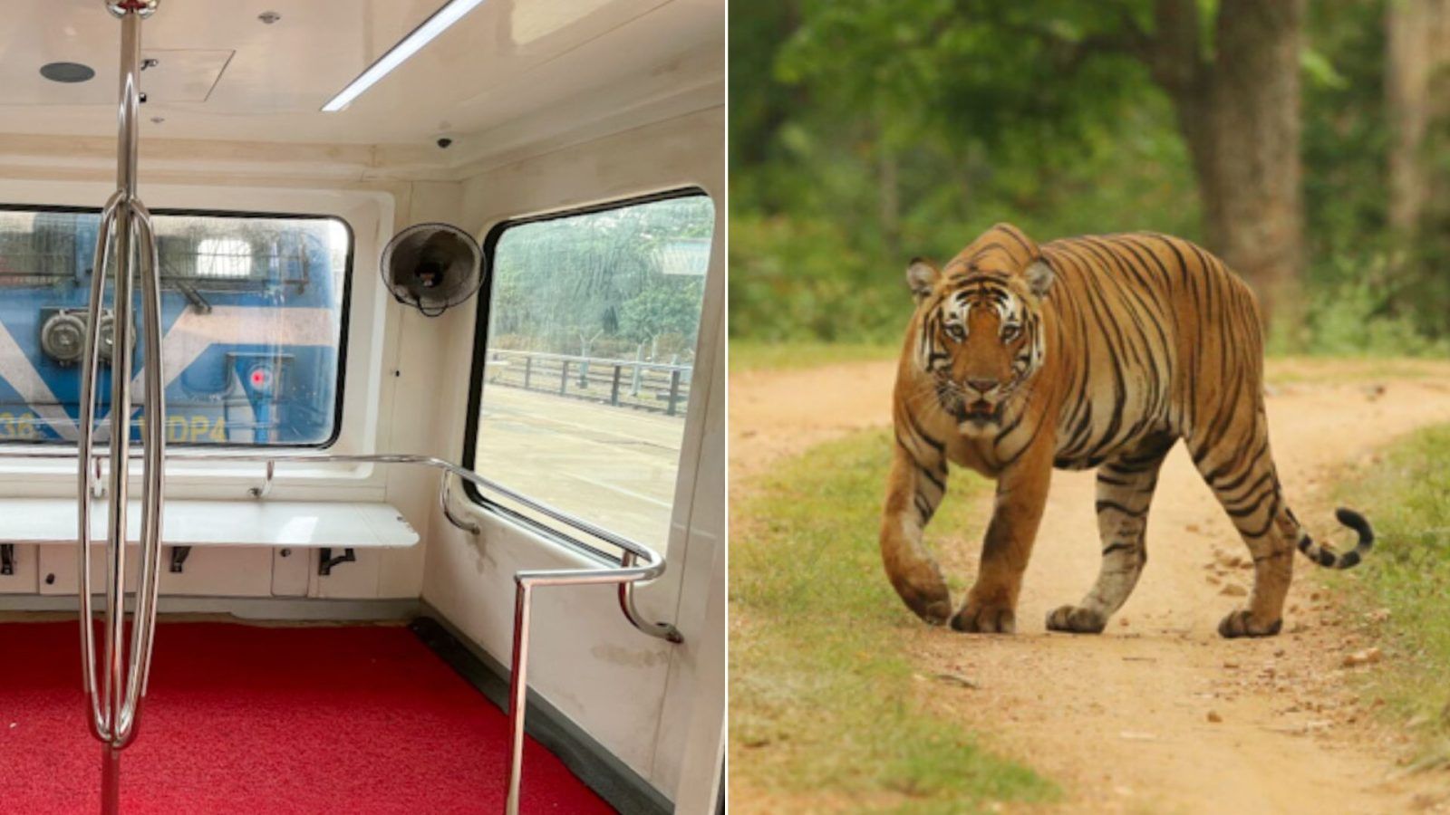 India’s First Jungle Safari Aboard Vistadome Train Debuts In Uttar Pradesh