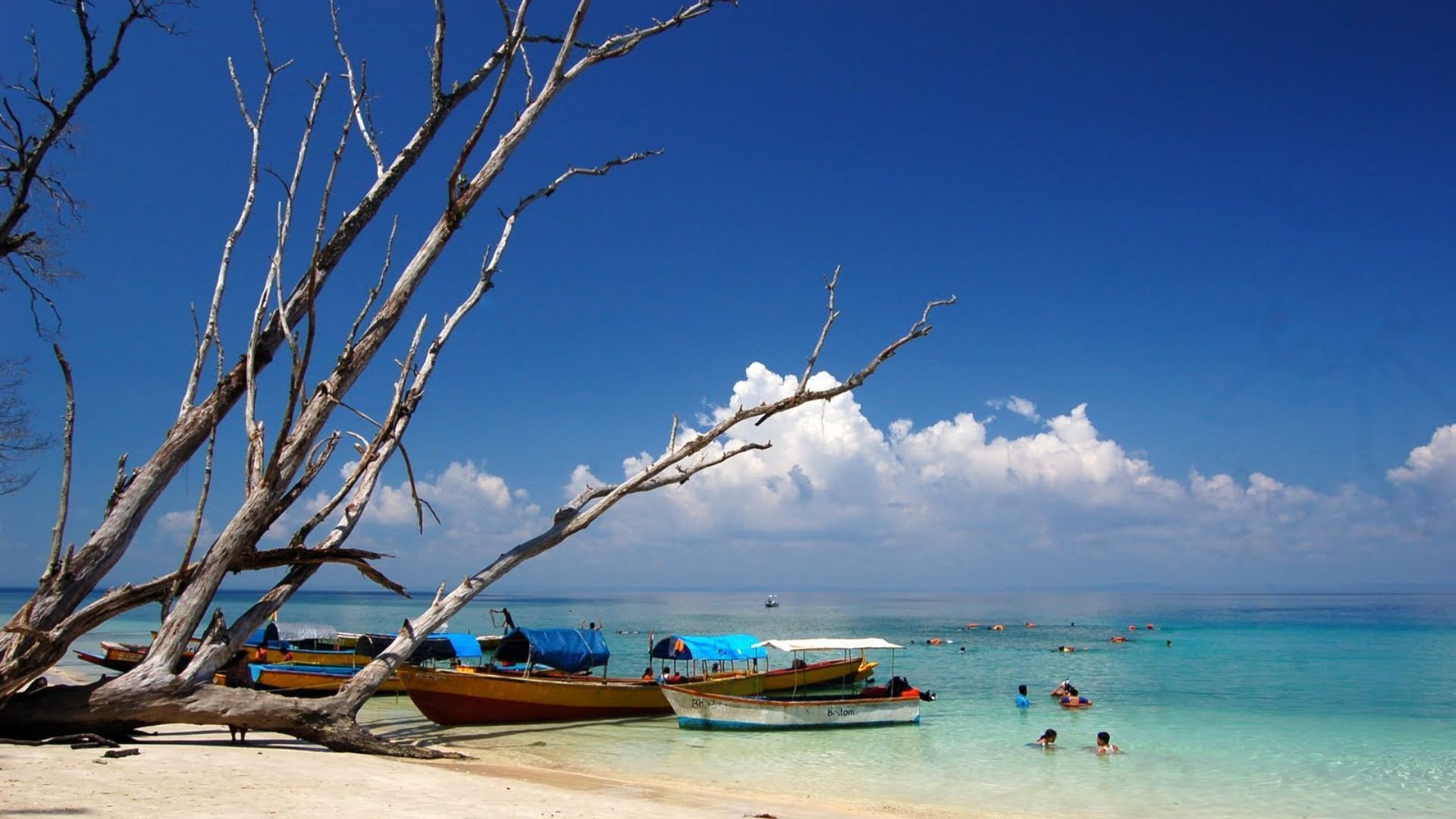 Places To Visit In India in June 2025: Beaches, Mountains, And More