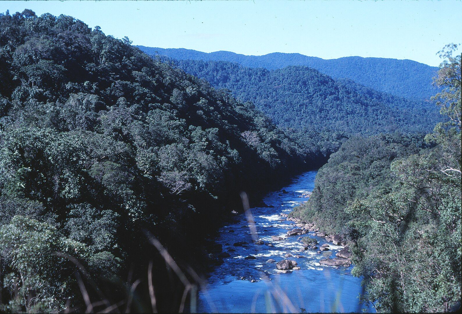 Things To Do In Queensland, Australia: Reefs, Rainforests And Road Trips