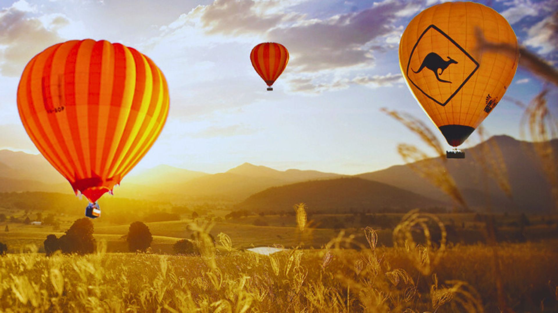 Things To Do In Queensland, Australia: Reefs, Rainforests And Road Trips