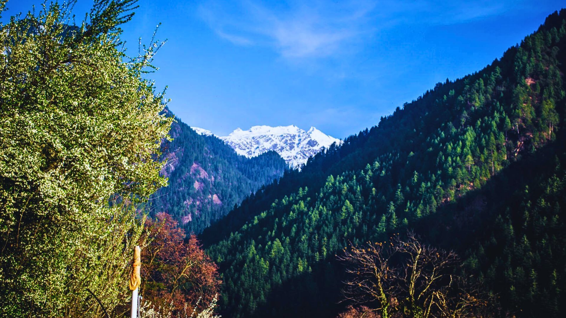 A Gentle Explorer’s Slow Travel Guide To Parvati Valley