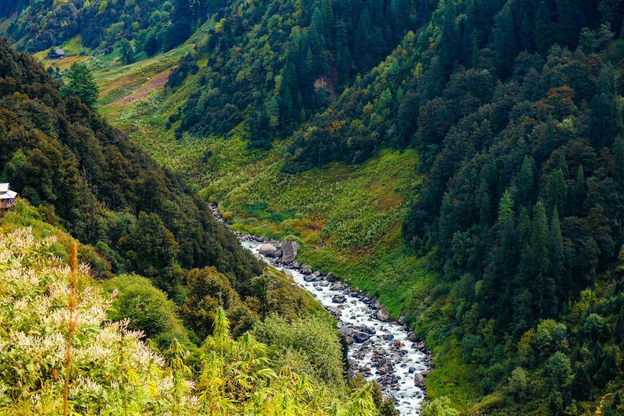 A Gentle Explorer’s Slow Travel Guide To Parvati Valley