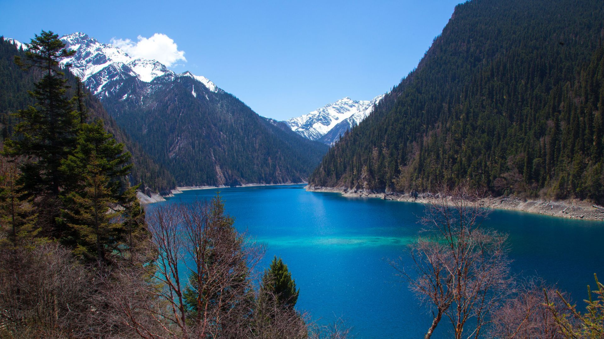Jiuzhaigou National Park: Uncover China’s Dreamiest Nature Destination