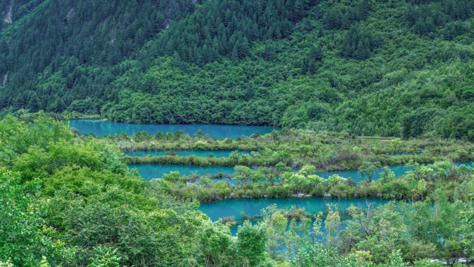 Jiuzhaigou National Park: Uncover China’s Dreamiest Nature Destination