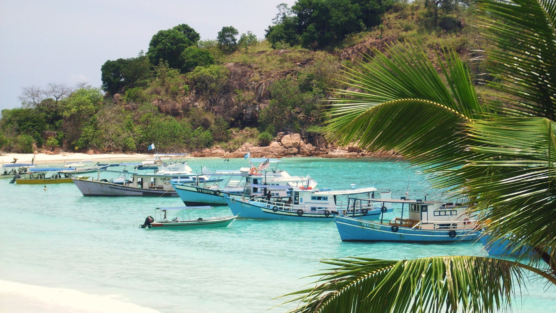 Redang Island: Beginner's Guide To Malaysia's Scuba Diving Paradise