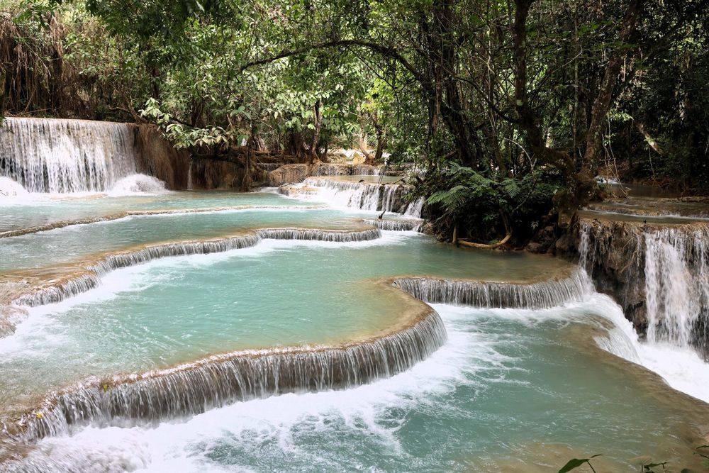 A First-Timer's Guide to Taking the High-Speed Laos Bullet Train