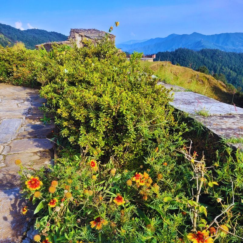 Priya Pathiyan, Author at Travel and Leisure Asia | Southeast Asia