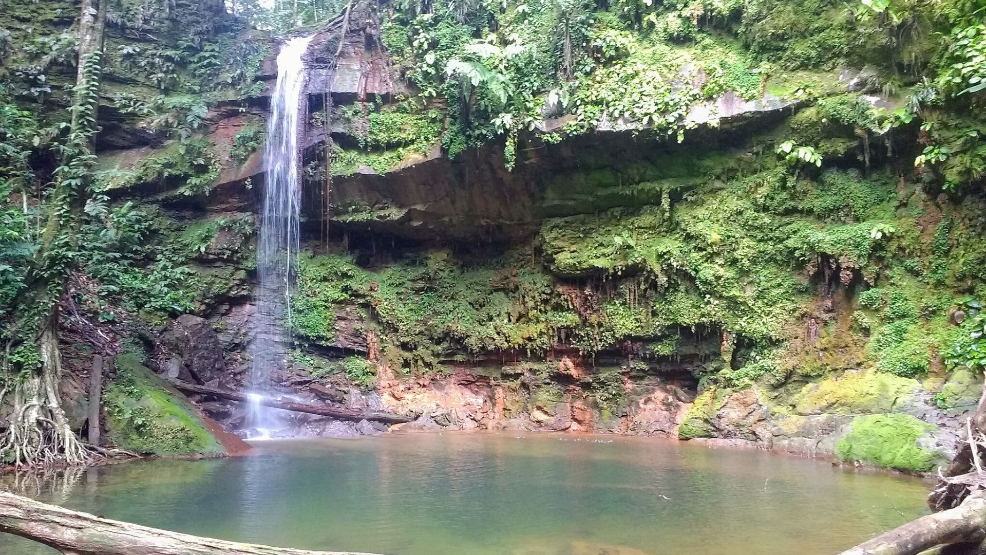 Miri And Its Wonders: Explore Nature, History, Culture, And More