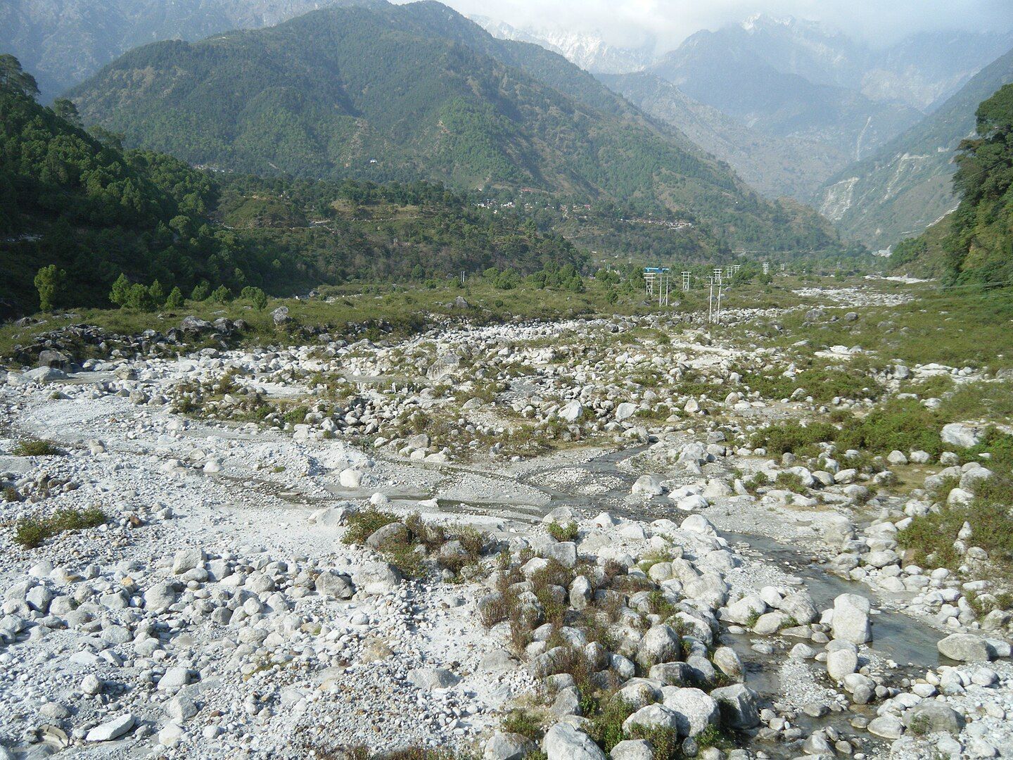 Tourist Places In Palampur: Uncover North India’s Charming Tea Capital