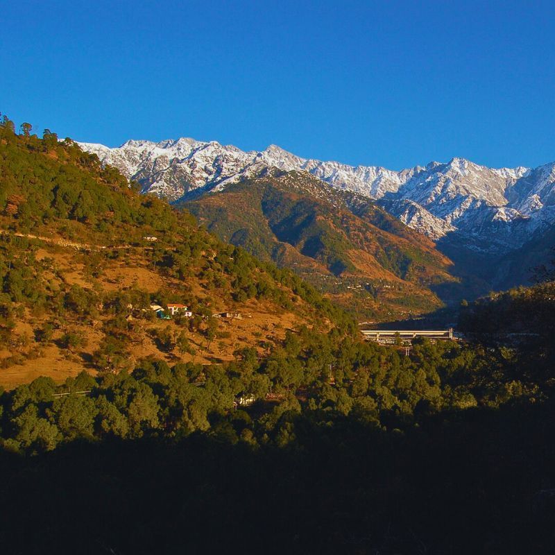 Things To Do In Kerala: Epic Experiences To Savour God's Own Country