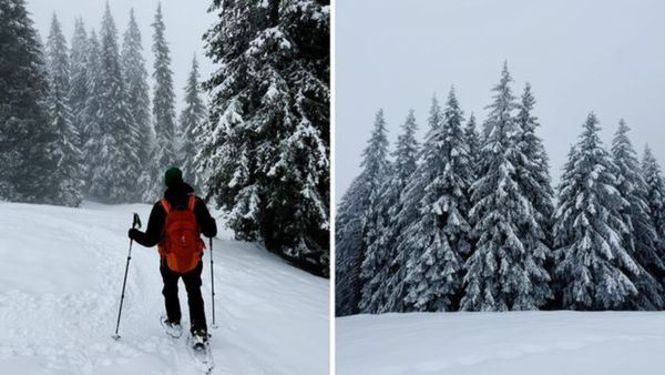 A Handy Travel Guide To Interlaken, Switzerland