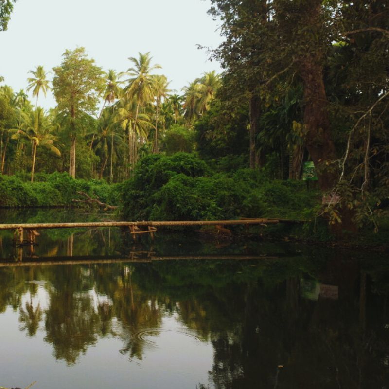 Priya Pathiyan, Author at Travel and Leisure Asia | Southeast Asia