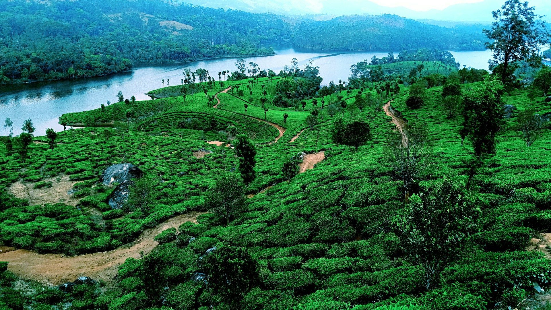 Things To Do In Kerala: Epic Experiences To Savour God's Own Country