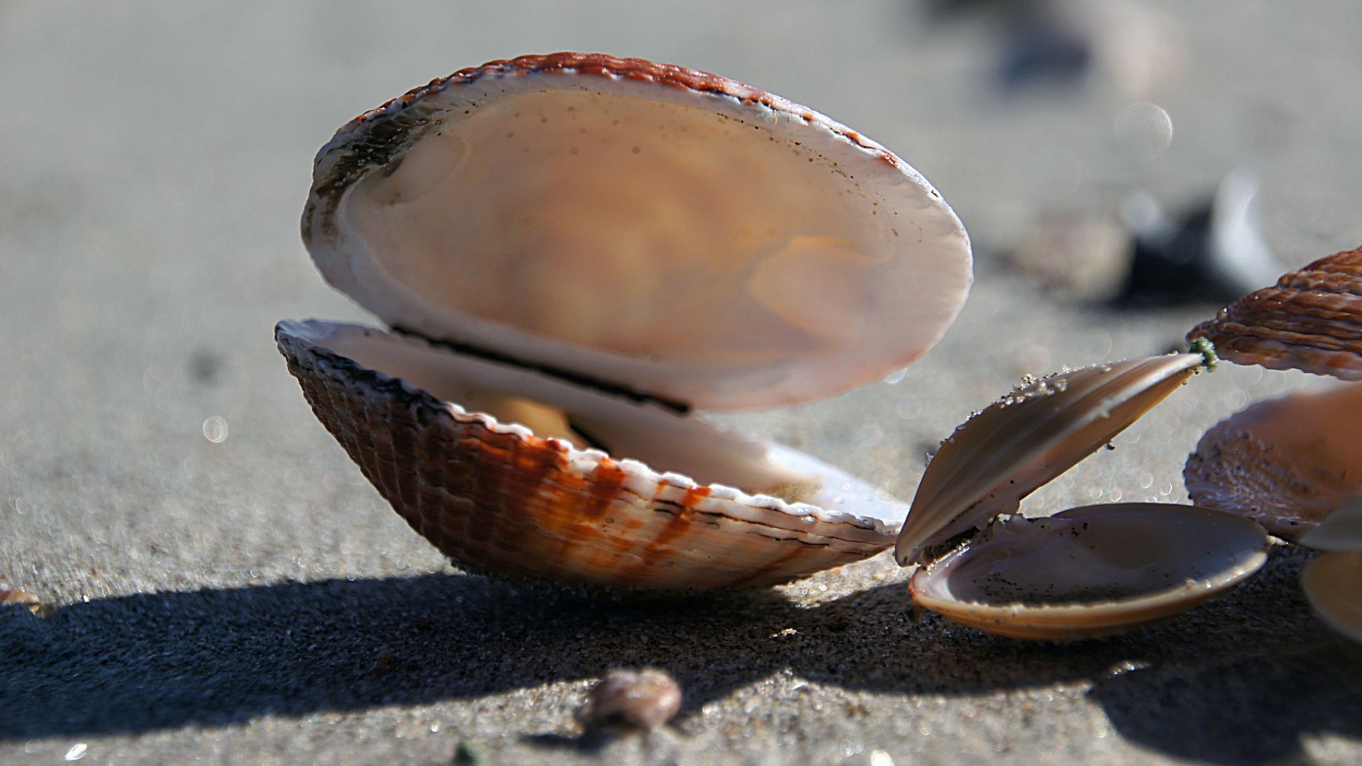 Sky Mirror in Kuala Selangor: A Haven For Photography Enthusiasts