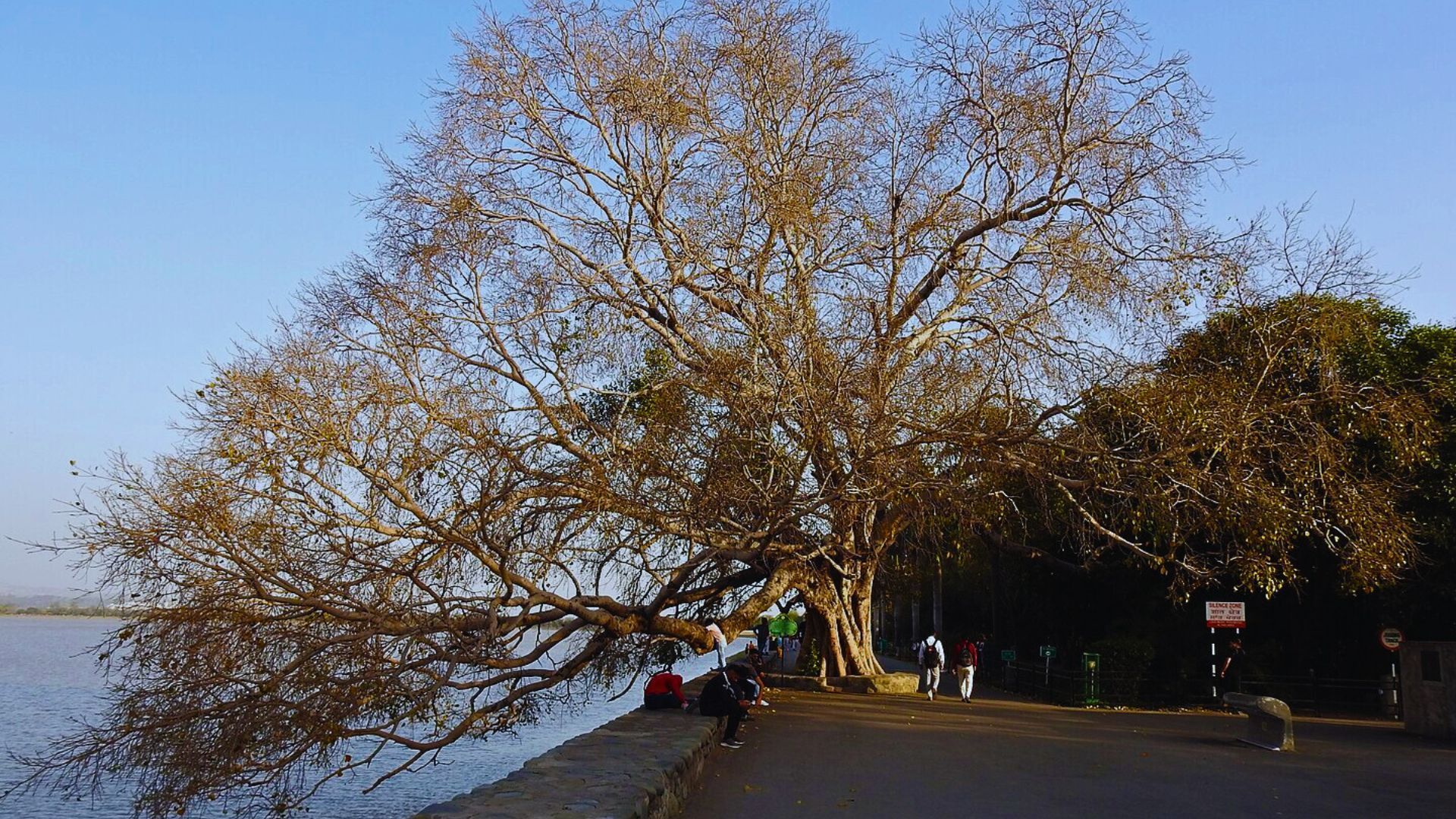 Tourist Places In Chandigarh: Surrender To The Charms Of City Beautiful