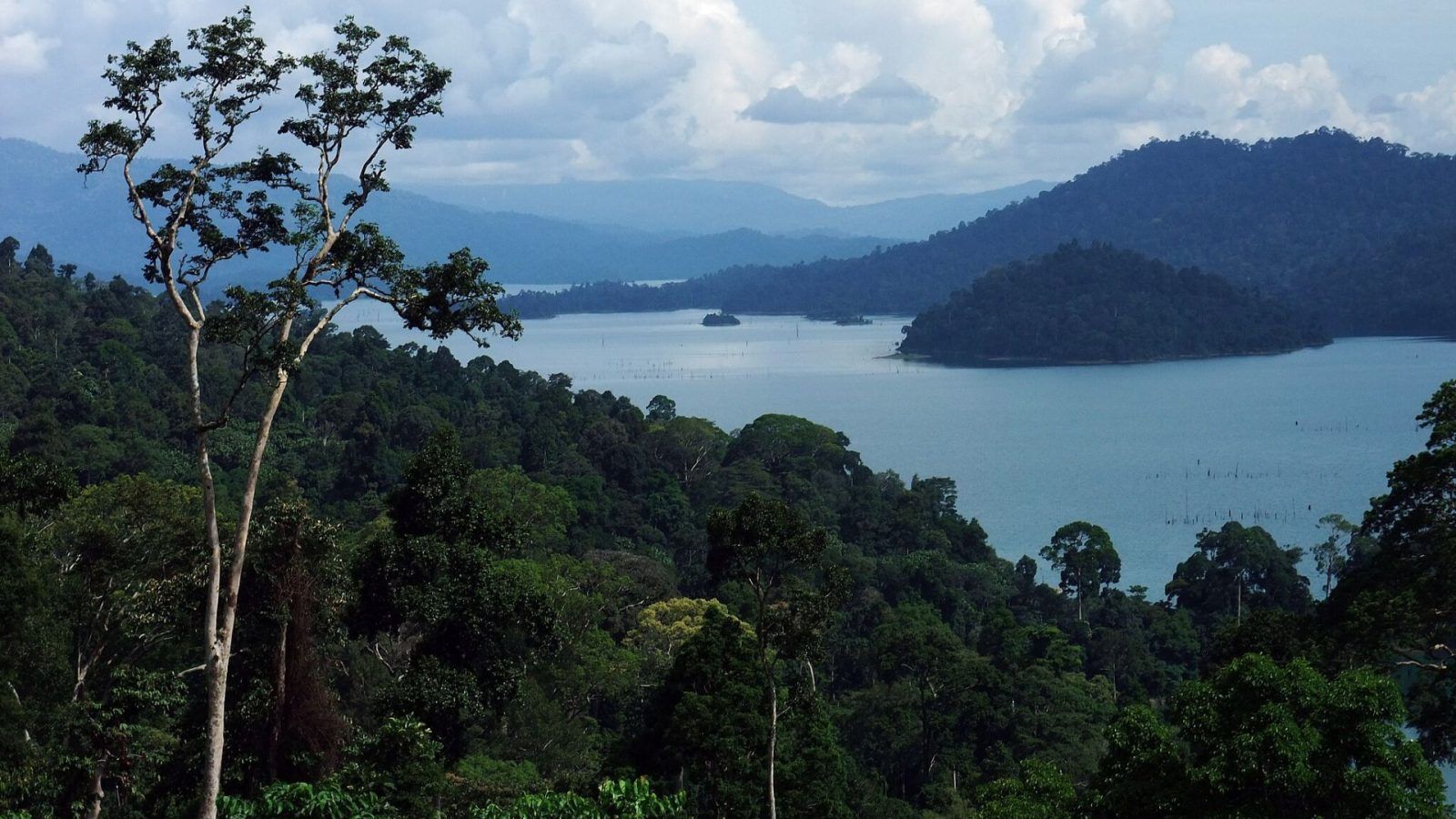 Kenyir Lake: Your Guide To Southeast Asia's Largest Man-Made Lake