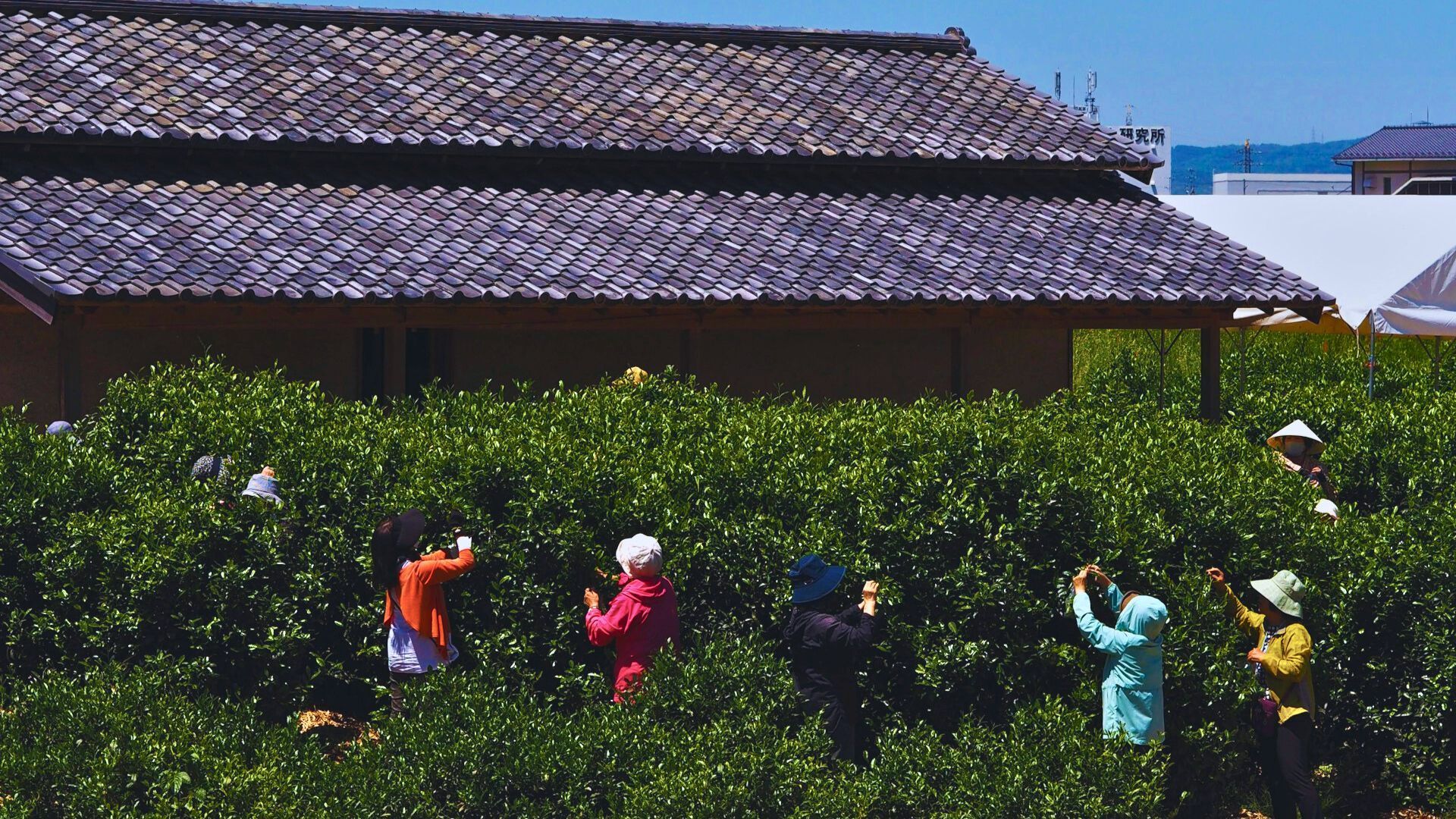 Slow Travel In Japan: When The Journey Is The Destination