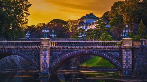 Best Tokyo Experiences: 10 Must-Do Activities For Your Next Trip