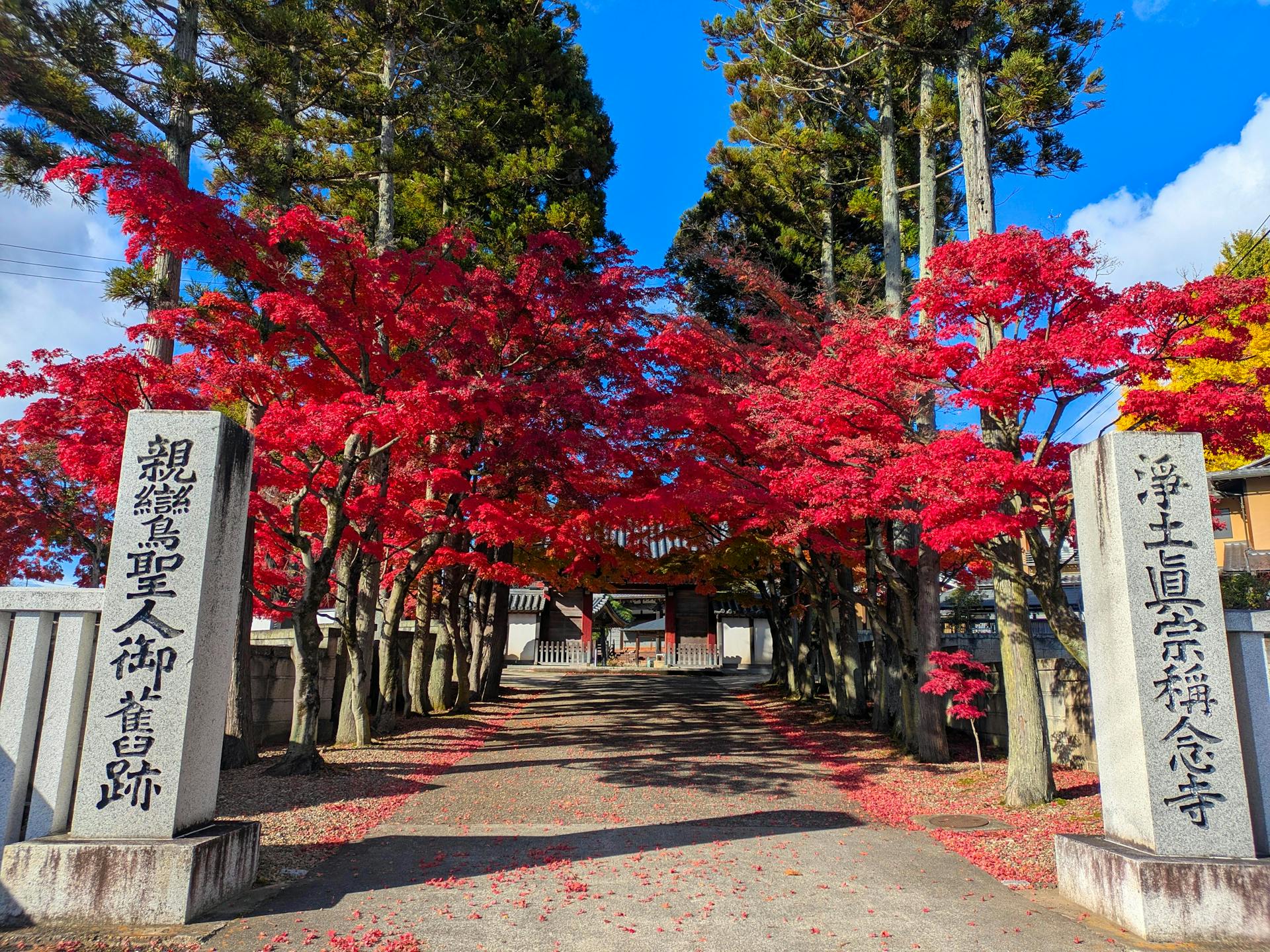 Sendai Guide: Best Things To Do & Places To Visit In Japan’s Green City