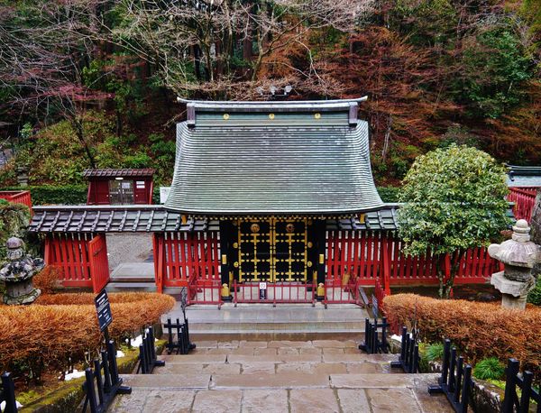 Sendai Guide: Best Things To Do & Places To Visit In Japan’s Green City