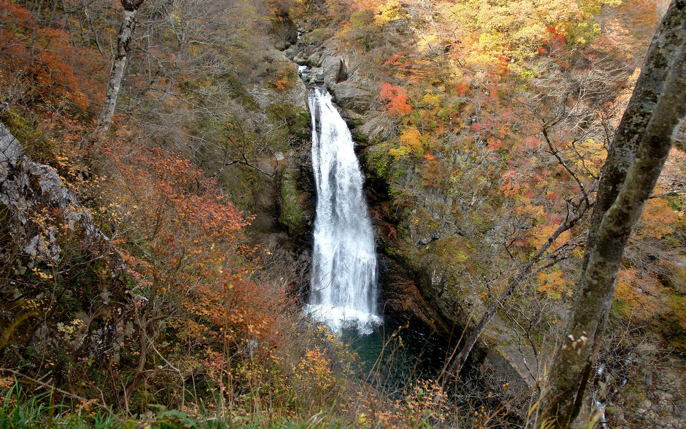 Sendai Guide: Best Things To Do & Places To Visit In Japan’s Green City