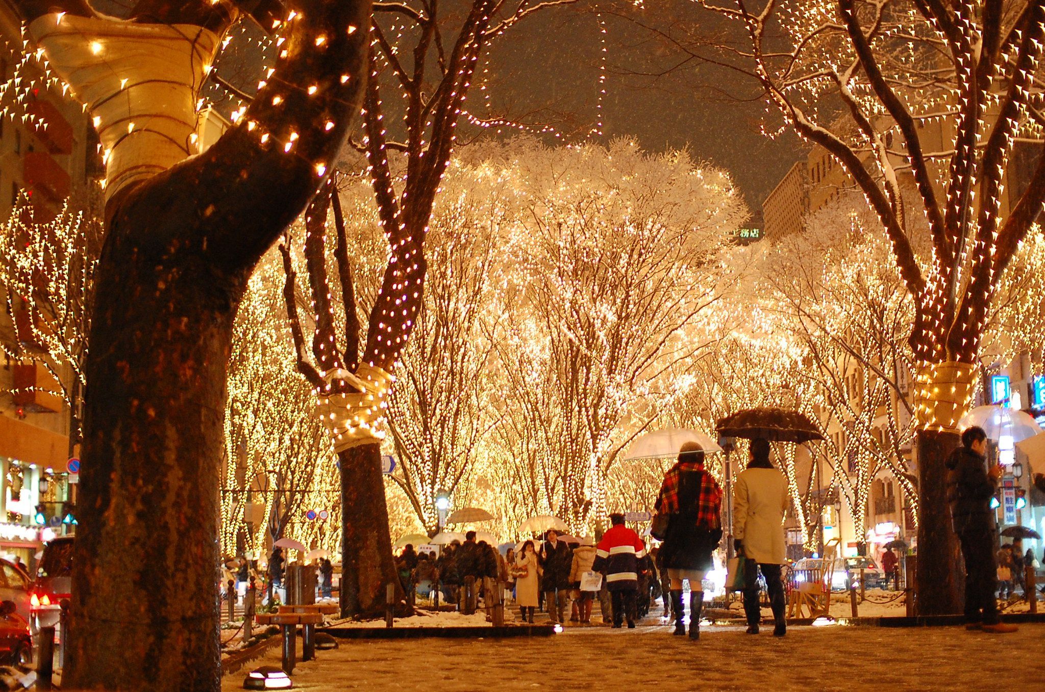 Sendai Guide: Best Things To Do & Places To Visit In Japan’s Green City