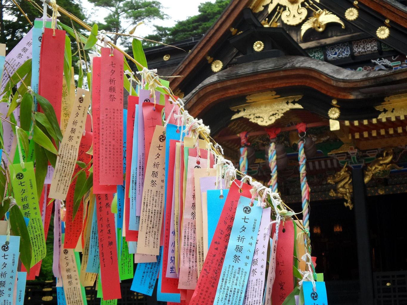Sendai Guide: Best Things To Do & Places To Visit In Japan’s Green City