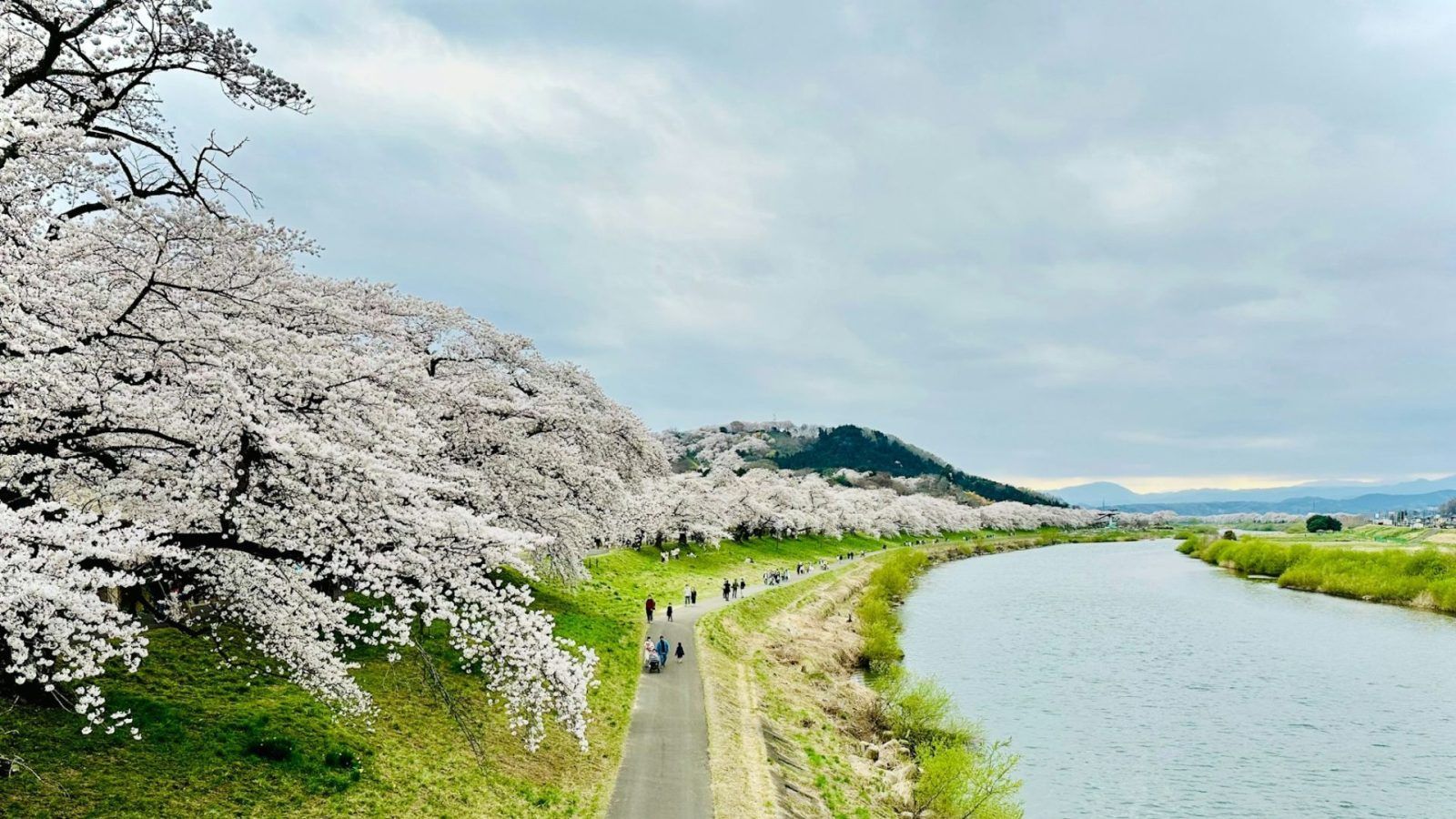 Sendai Guide: Best Things To Do & Places To Visit In Japan’s Green City