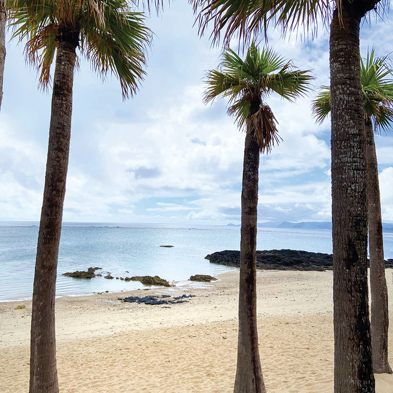 The Ultimate Guide To Visiting Ghibli Park In Japan